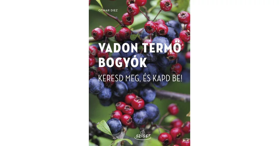 Vadon termő bogyók